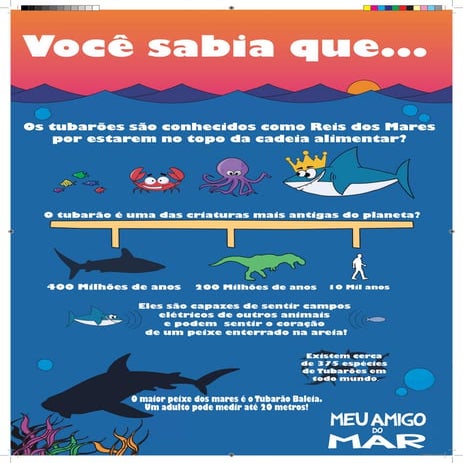 PARTE INTERIOR DO FOLHETO ' MEU AMIGO DO MAR ' | PDF