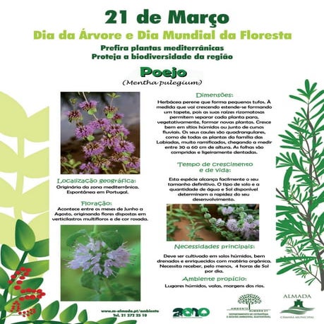 Cartaz poejo | PDF