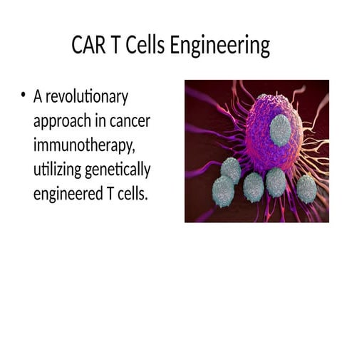 CAR_T_Cells_Engineering for biomedical engineering | PPTX