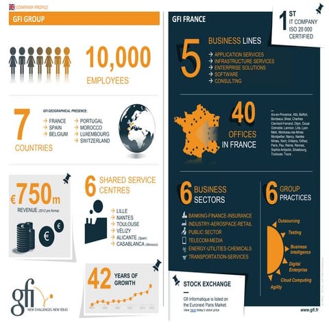 Gfi Company Profile | PDF