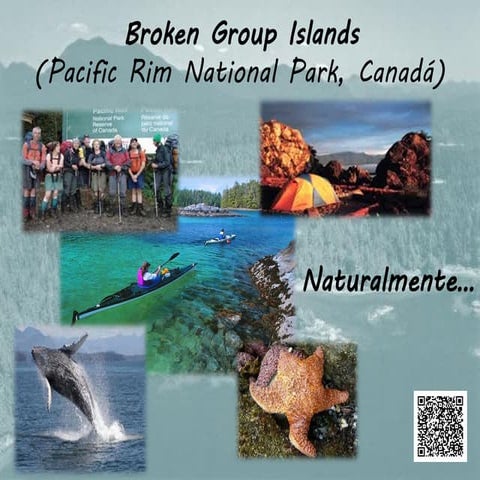 Cartel Broken Group Islands | PPT