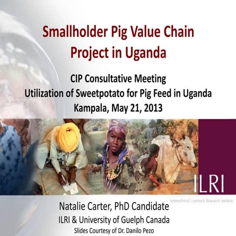 Smallholder pig value chain project in Uganda | PDF
