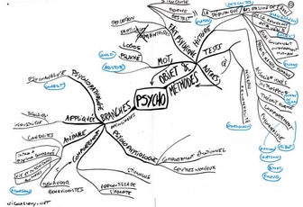 Mind maps pathology skin | PPT