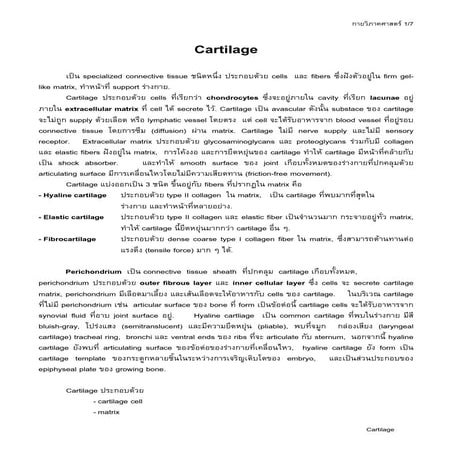 Cartilage | PDF