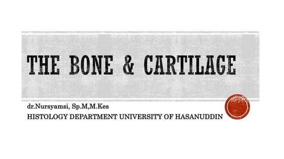 CARTILAGE | PPTX