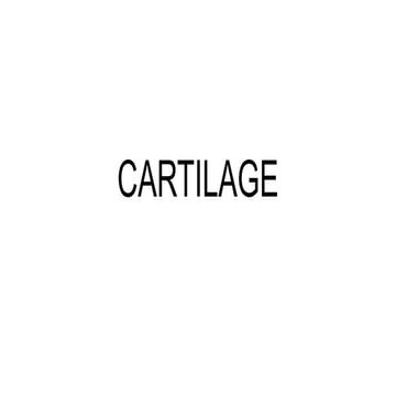 HISTOLOGY AND ANATOMY OF TYPES OF CARTILAGE.pdf