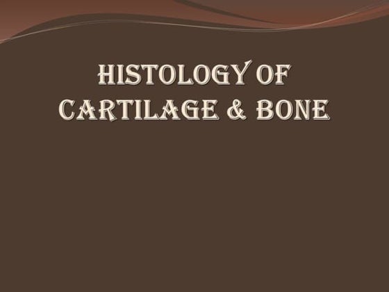 CARTILAGE | PPTX