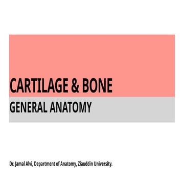 Cartilage and Bone - Dr. Jamal Alvi-1.pptx