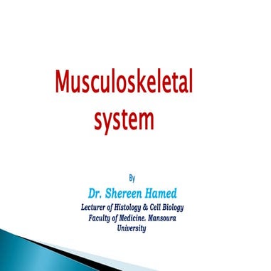 cartilage and bone pdf.pdf