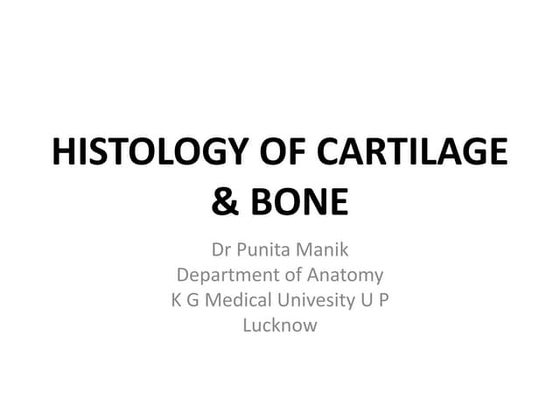 Histology of Cartilage.pptx | Bone and Joint Conditions | Diseases and Conditions