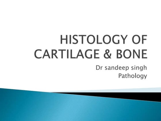 Histology of Cartilage.pptx | Bone and Joint Conditions | Diseases and Conditions