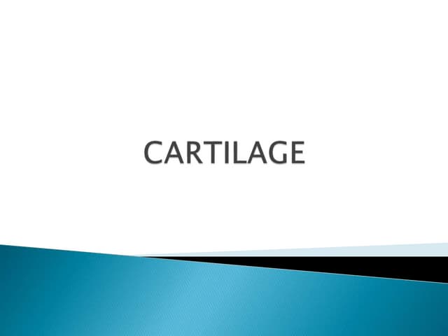 CARTILAGE | PPTX