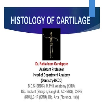 CARTILAGE | PPTX