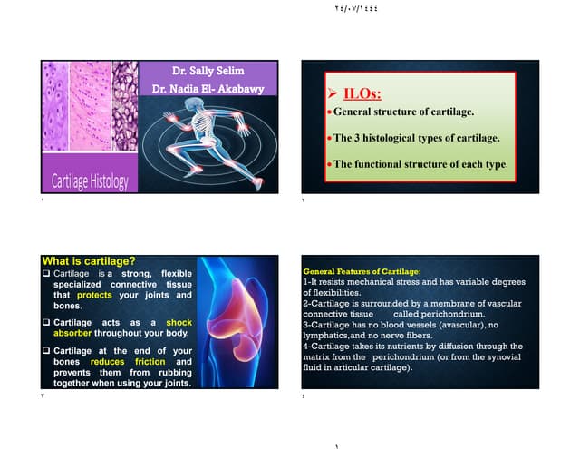 CARTILAGE | PPTX
