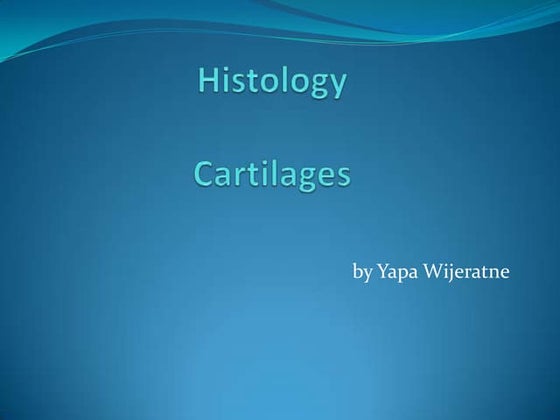 Cartilage & bones | PPT