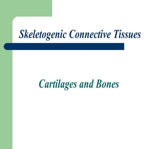Cartilages and bones | PPT