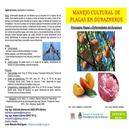 Cartilla de duraznero (2).doc