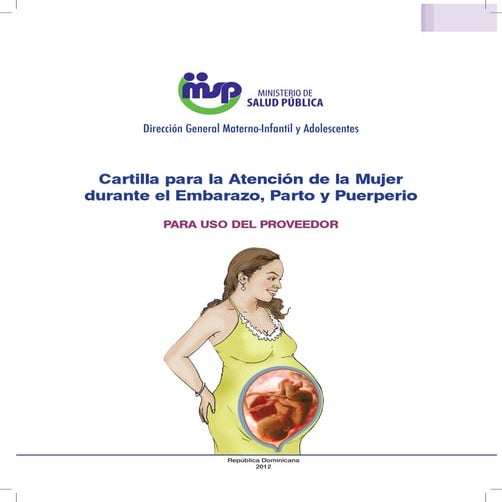 Cartilla embarazo proveedor (imprenta) | PDF
