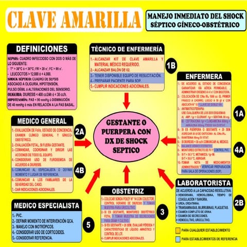 Cartillas Claves Obstetricas Red Arequipa Caylloma | PDF