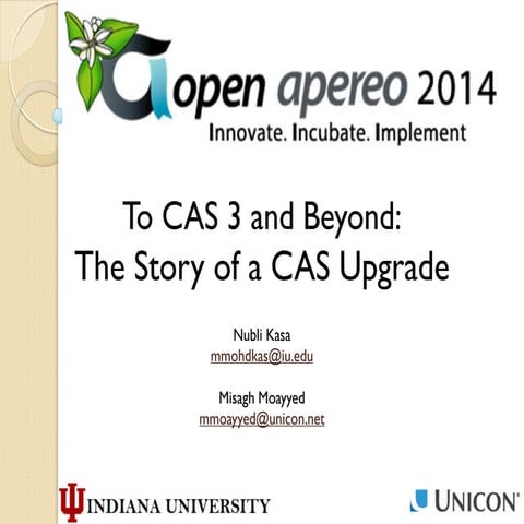 Getting Started with CAS | PDF