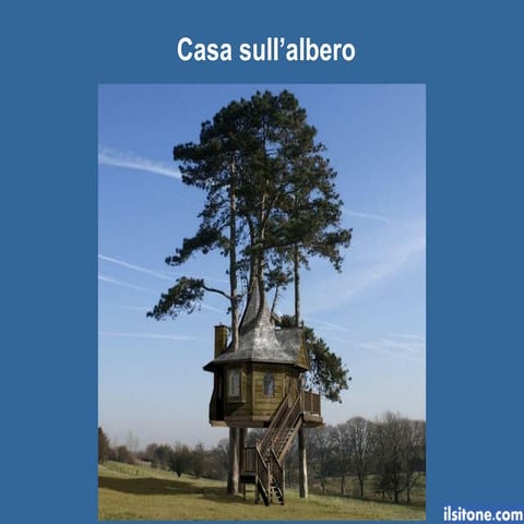 Casa sull-albero | PPS
