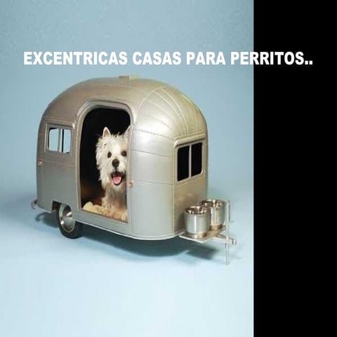 Casas Para Perritos | PPT