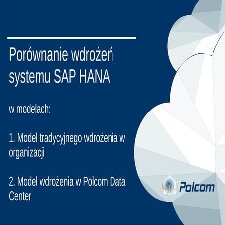 SAP ERP / SAP All-in-One | PDF