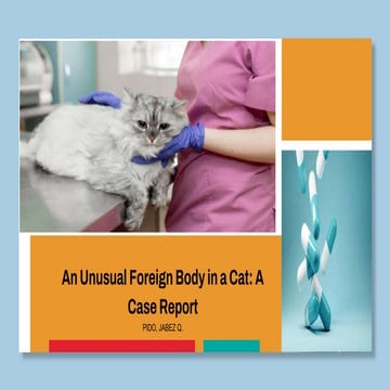 Case2.Pido (An unusual foreign body in a cat)..pptx