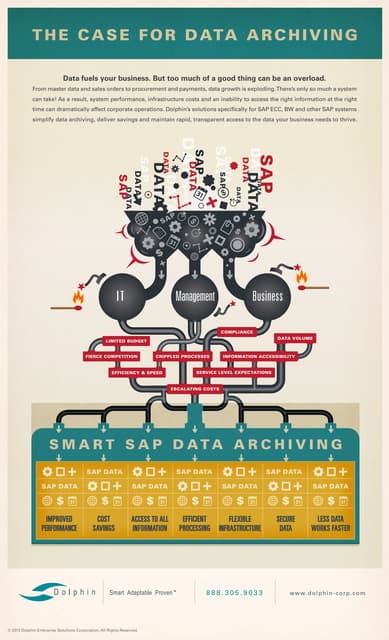 Dolphin Corporation, Sap solution provider at Dolphin