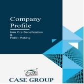 CASE Group: All You Need To Know | PDF