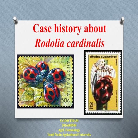 Case history about rodolia cardinalis | PPTX
