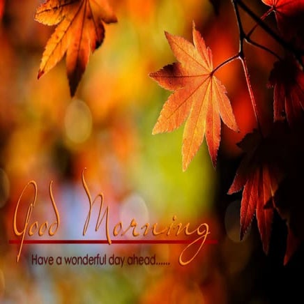 Ellis and davey’s classification of tooth fracture | PDF