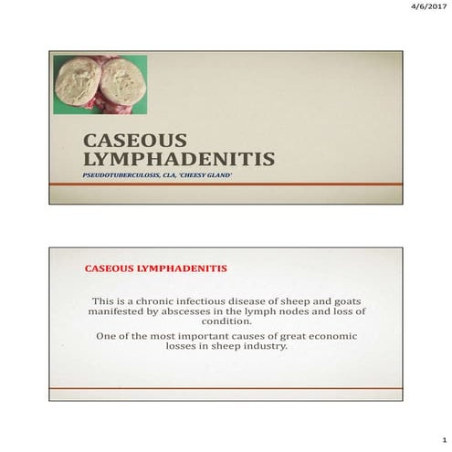 Caseous lymphadenitis | PDF