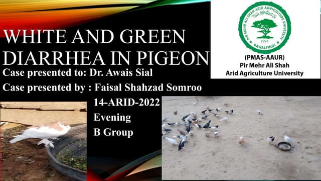 Abnormalities in hatching chicks | PPTX