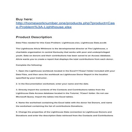 Case Problem: Lighthouse.xlsx