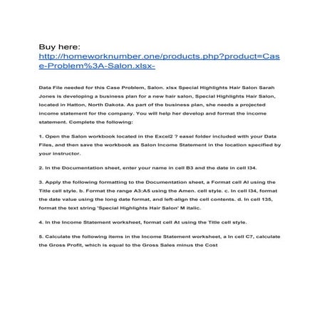 Case Problem: Salon.xlsx | Business Accounting & Finance | Business