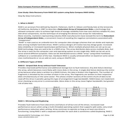 Case Study Raid Utility Guideline | PDF