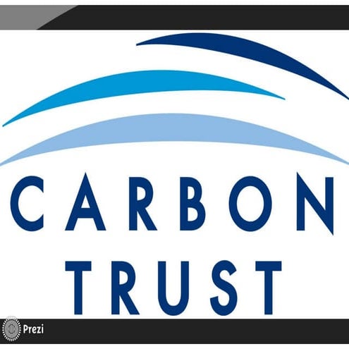 Case Study: Carbon Trust Direct Marketing Strategy | PDF