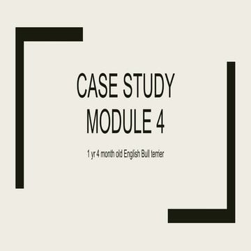 Canine Dermatology Case Study module 4.pptx