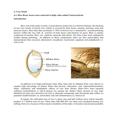 Case study, rice bran from waste to high value added product | PDF