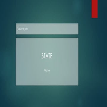 Political Science Case Study Template with directions | PPTX