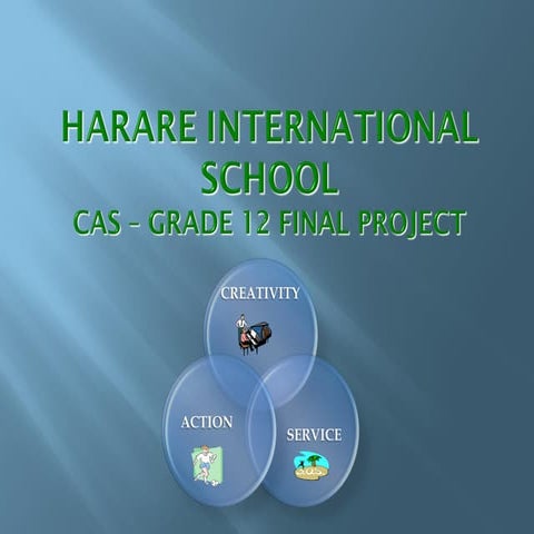 CAS final project 2011 | PPT