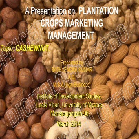 GRAPES: The Big Ideas of Social Studies | PPT