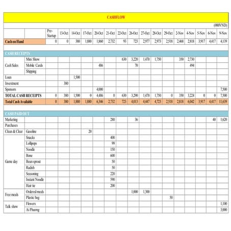 Cash flow of Start-up company | DOCX