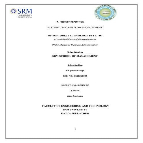 cash flow statement _project report.pdf