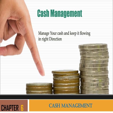 Presentation on Cash Management Finance .ppt