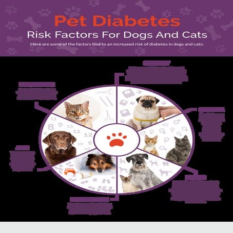 Pet Diabetes | PDF | Dogs | Pets