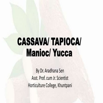 The Production technology of Cassava.pptx