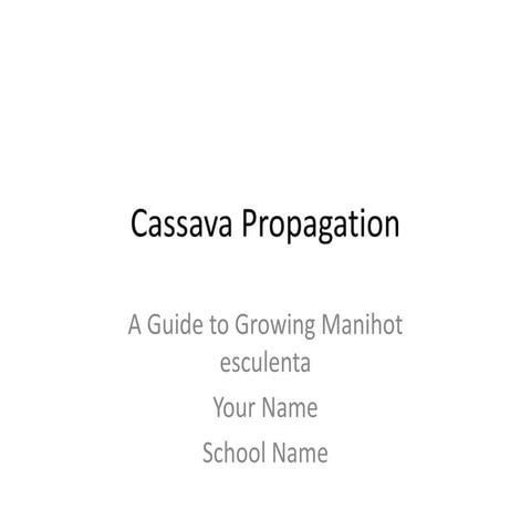 Cassava Propagation Cas sava Propagation | PPTX