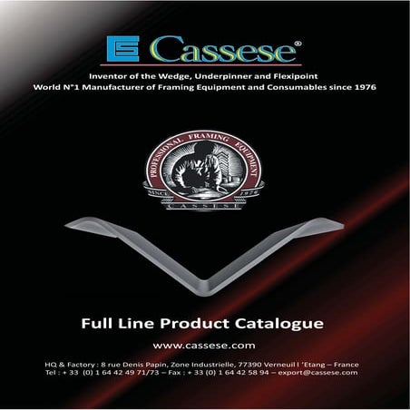 Cassese flpc | PDF